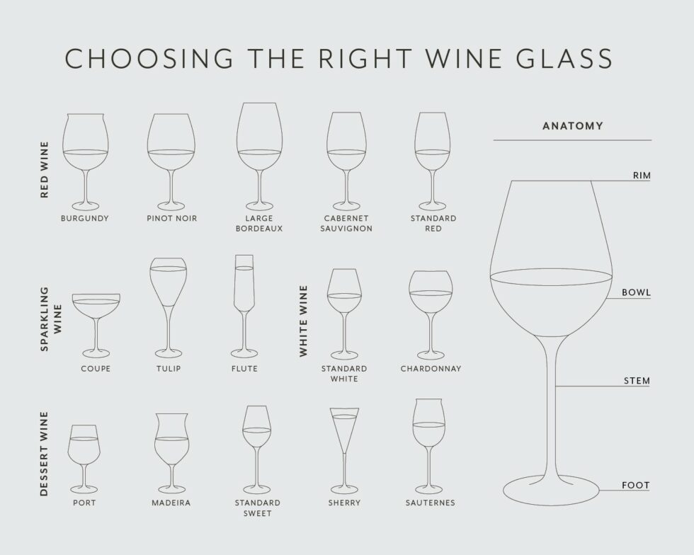 How to Choose The Right Type of Wine Glass | Sur La Table – Lid & Ladle